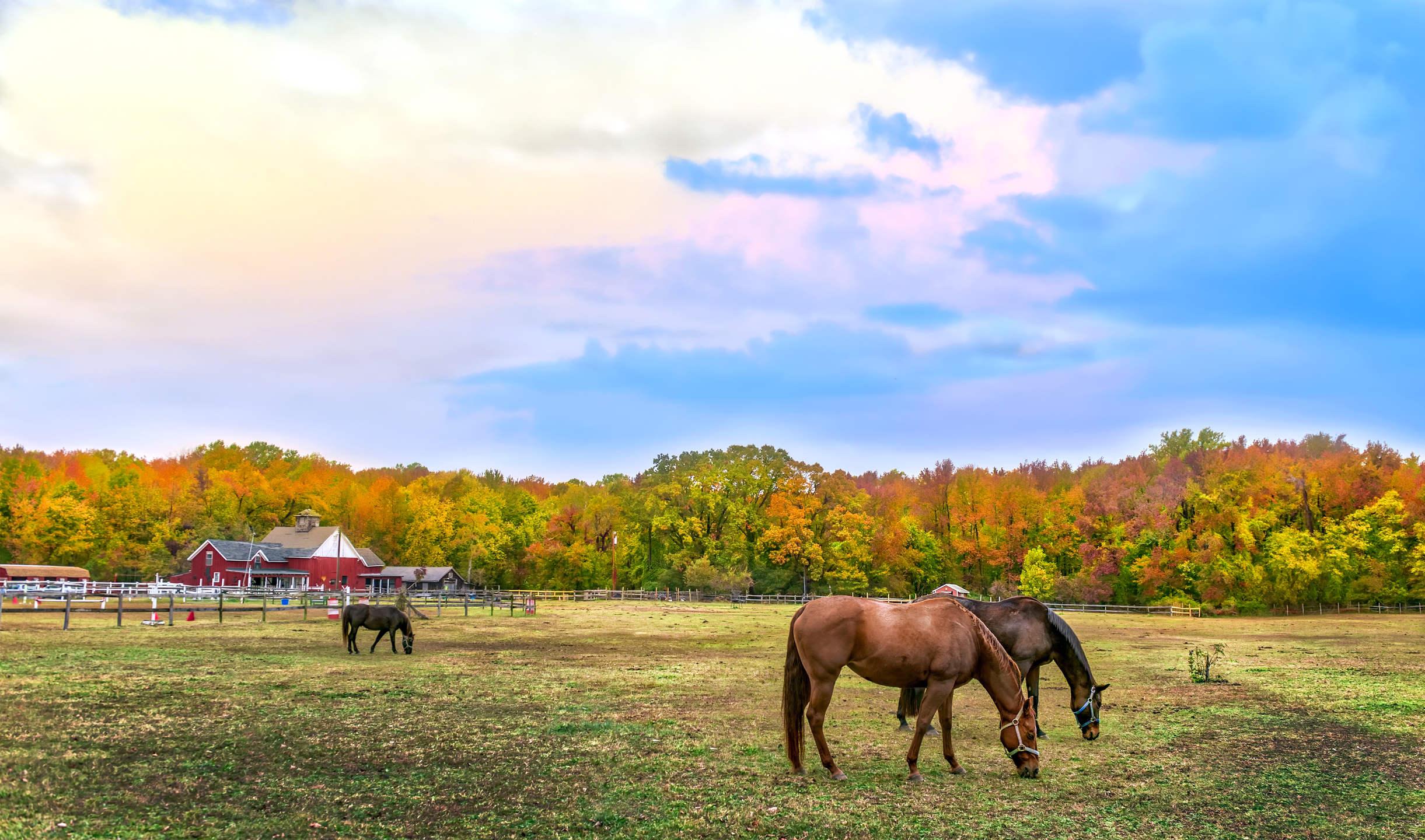My Autumn Farm HD Wallpapers New Tab Theme