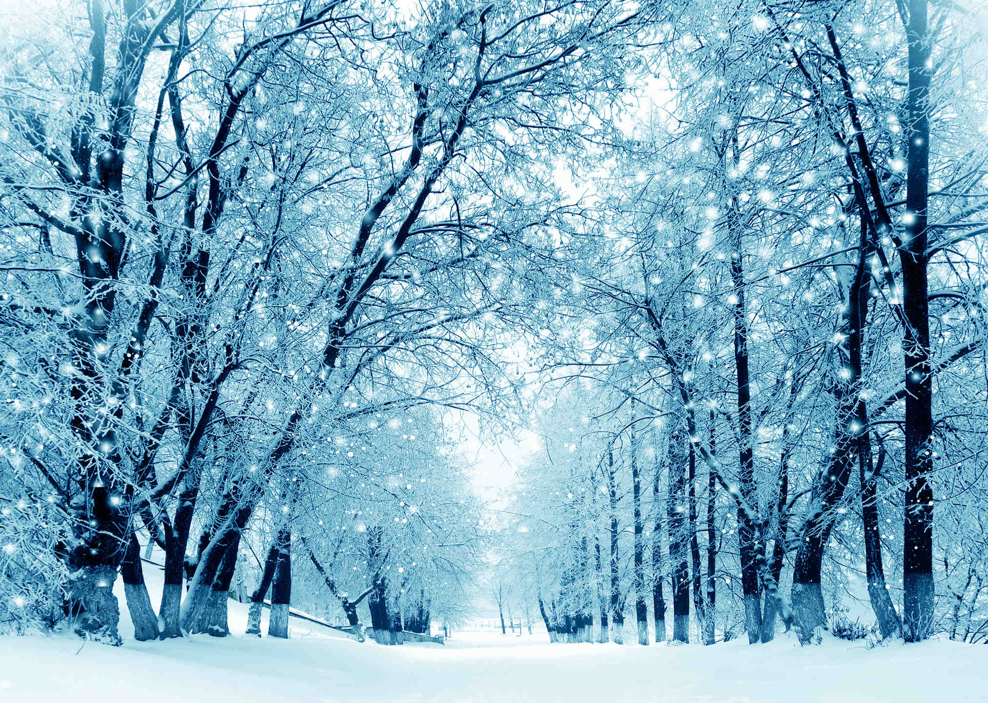My Winter HD Wallpapers New Tab Theme