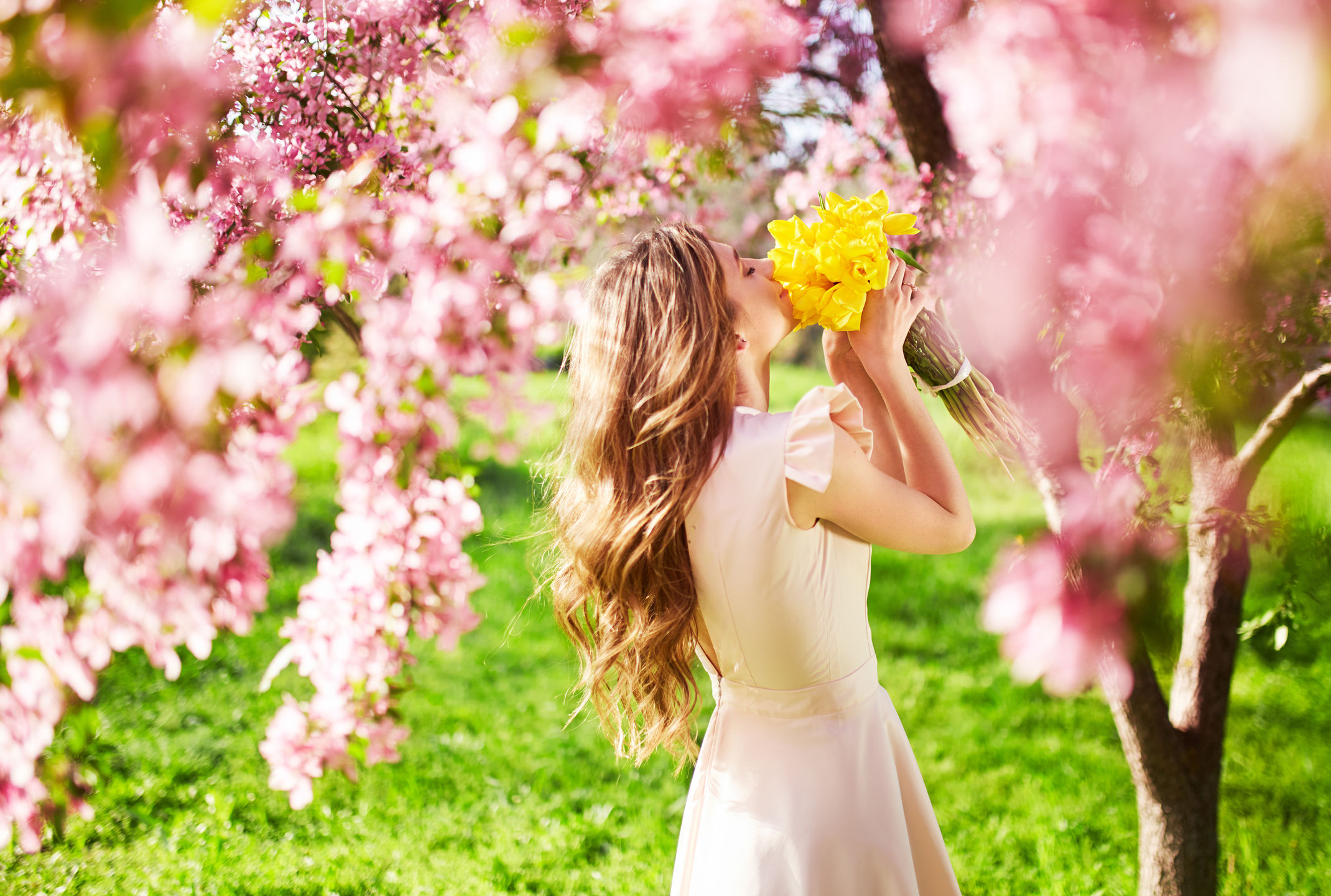 Spring Life HD Wallpaper New Tab Theme